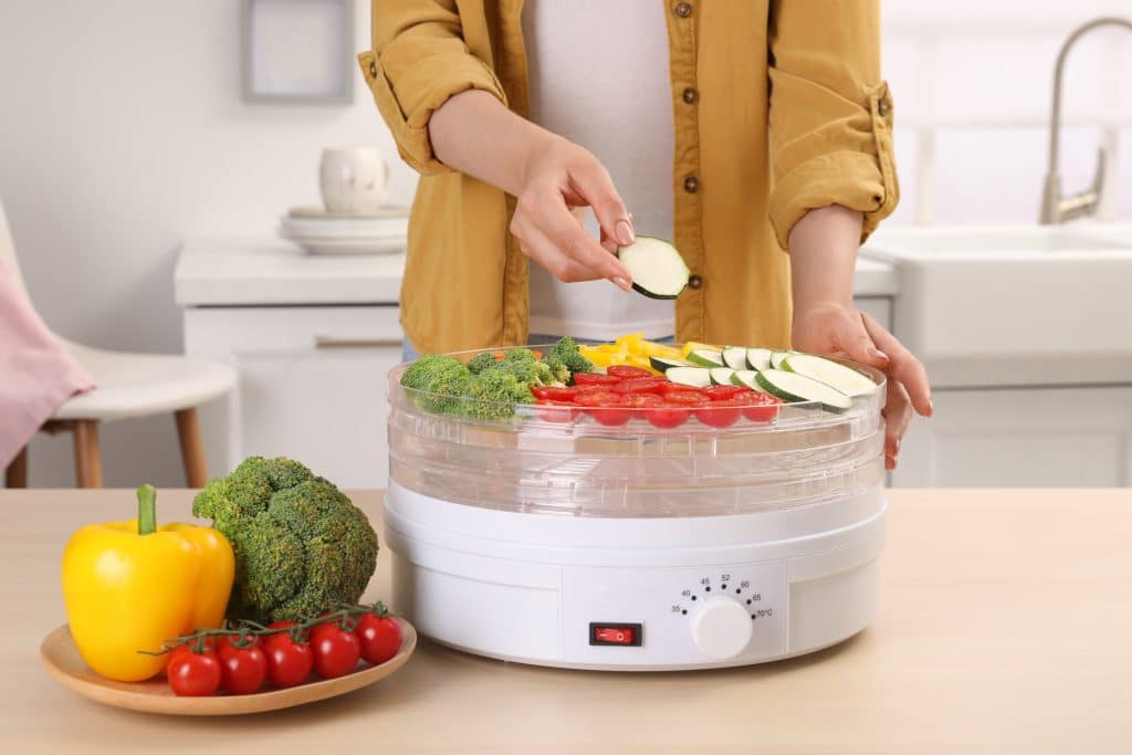5 Portable Mini Food Dehydrators To Buy For Travel Use In 2024 - One ...